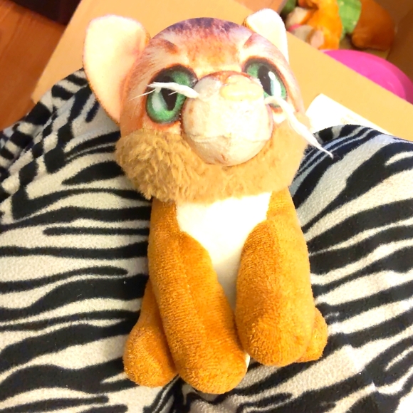 Dan Dee | Toys | Dan Dee Realistic Face Big Green Eyed Kitty Cat 7 ...